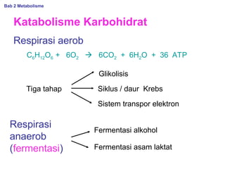 Metabolisme biologi, metabolisme biologi | PPT