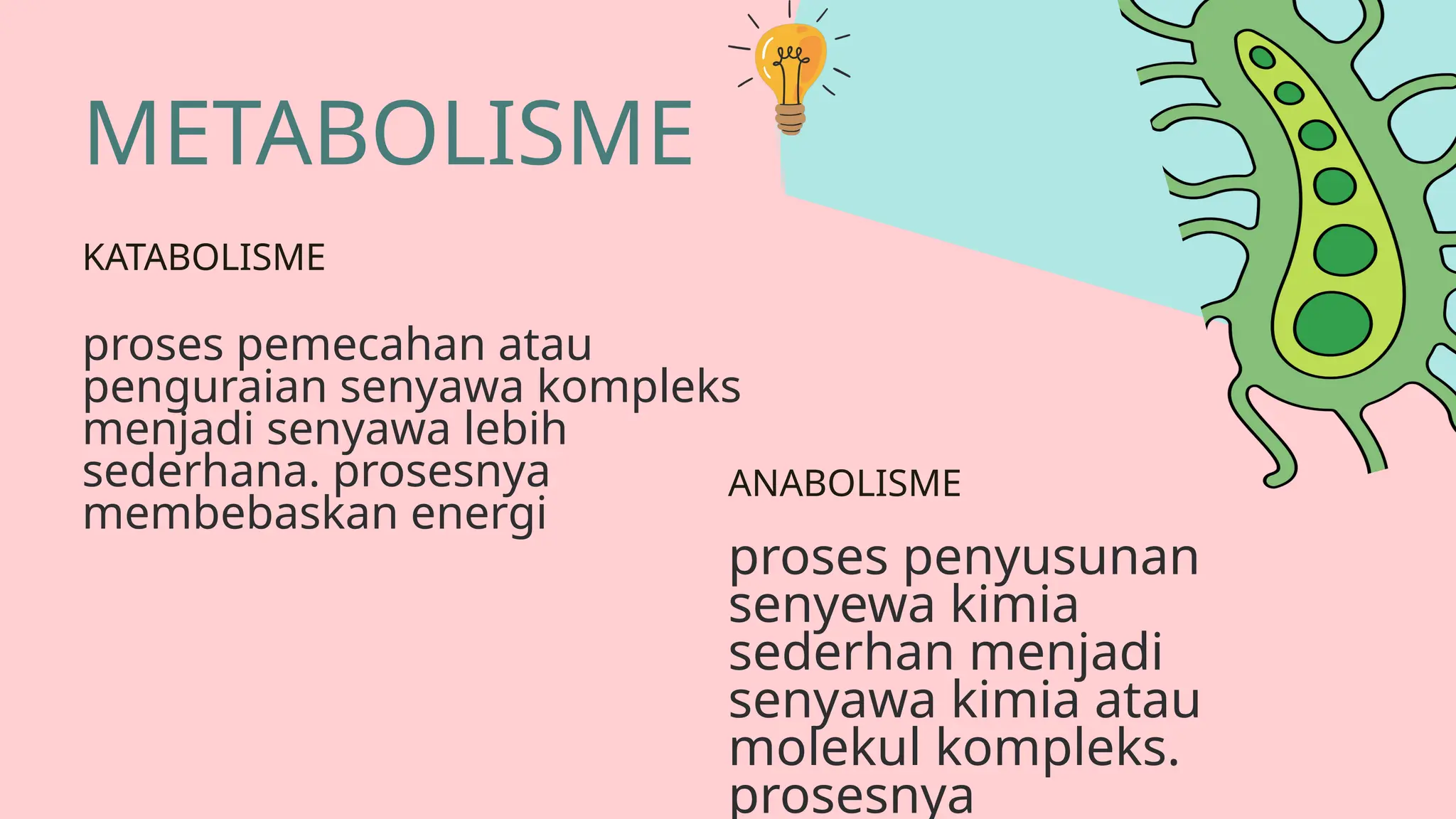 metabolisme PADA MANUSIA ENZIM BESERTA FUNGSINYA.pptx