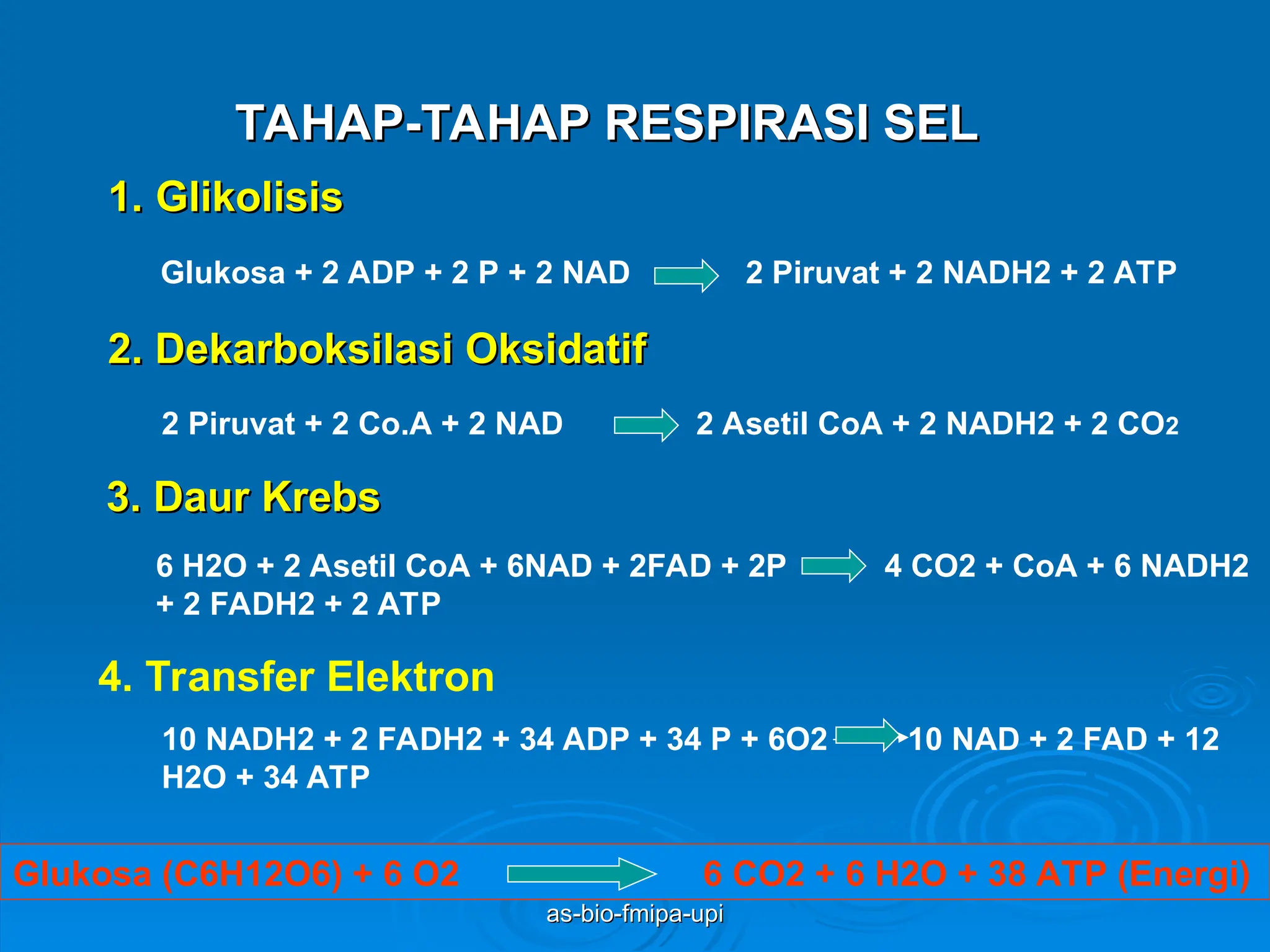 PROSES PEMBENTUKAN ATAU PENGURAIAN ZAT DIDALAM SEL | PPT