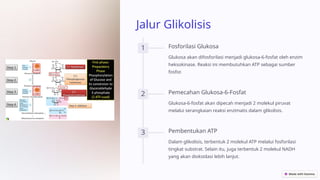 Metabolisme karbohidrat adalah serangkaian proses biokim | PPTX