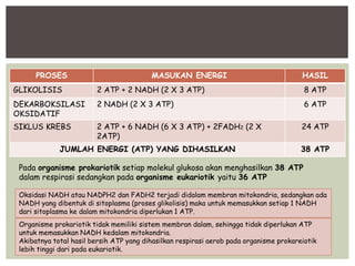 ENZIM DAN KATABOLISME | PPTX
