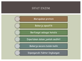 ENZIM DAN KATABOLISME | PPT