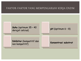 ENZIM DAN KATABOLISME | PPT