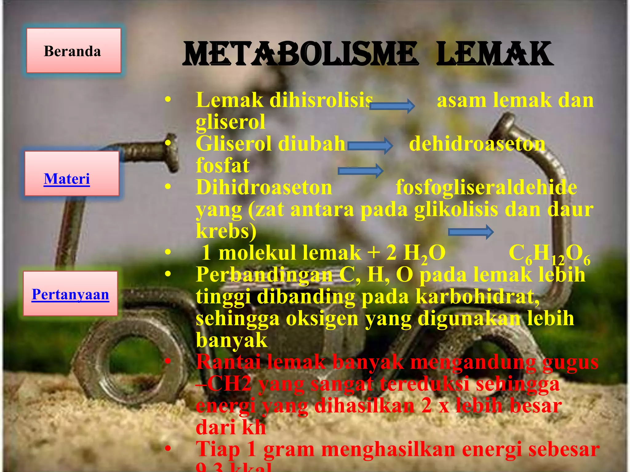 Metabolisme keterkaitan protein, karbohidrat dan lemak (devia dr erika ...
