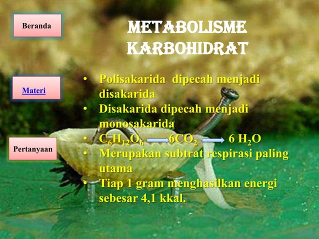 Metabolisme keterkaitan protein, karbohidrat dan lemak (devia dr erika ...