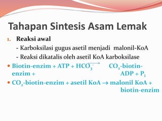 Metabolisme lemak | PPTX