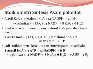 Metabolisme lemak | PPTX