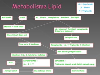 Metabolisme lipid3-setelah-diedit | PPT