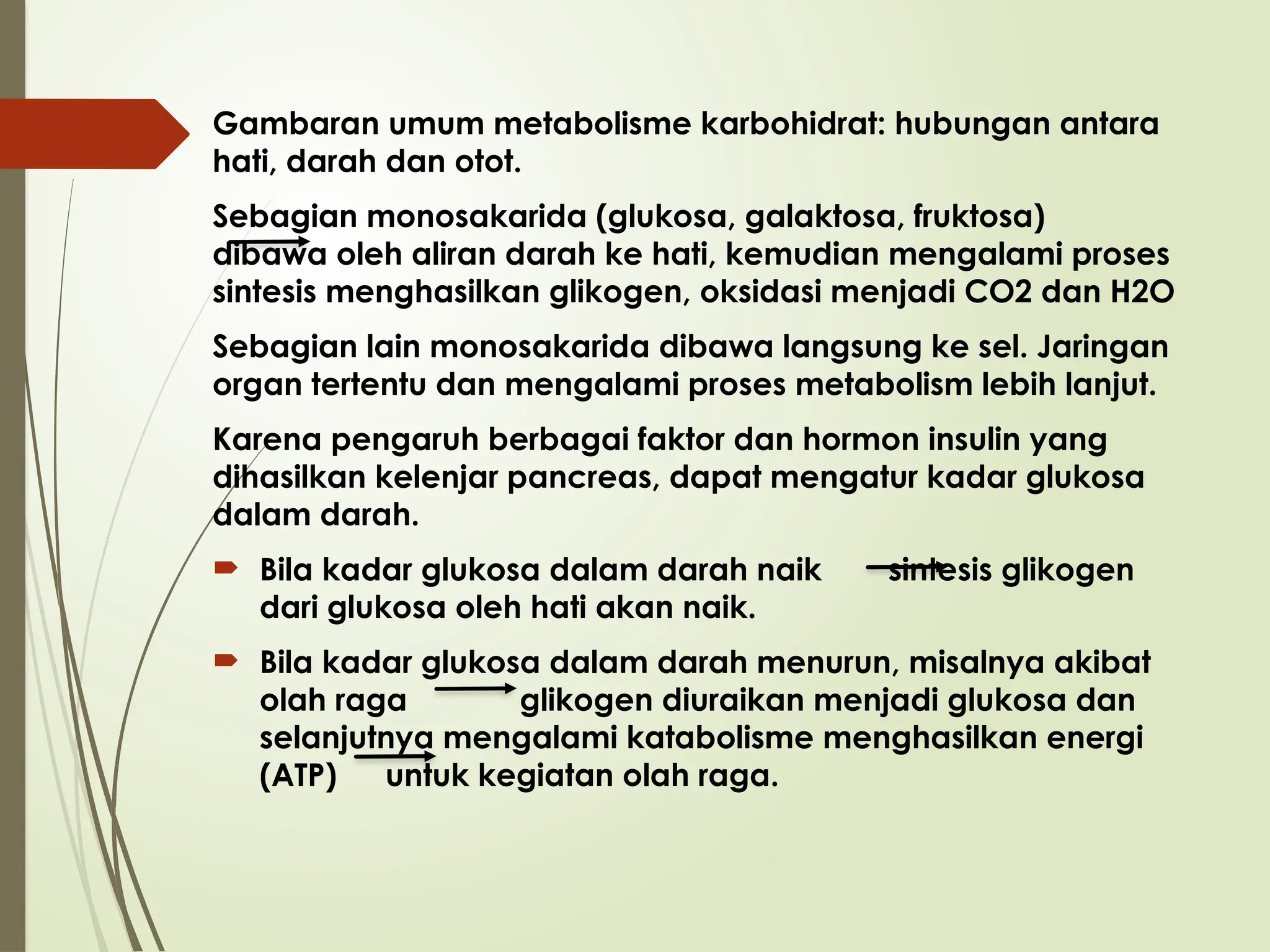 Materi tentang metabolisme biokimia didalam tubuh | PPTX