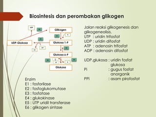 Materi tentang metabolisme biokimia didalam tubuh | PPTX
