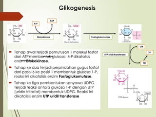Materi tentang metabolisme biokimia didalam tubuh | PPTX
