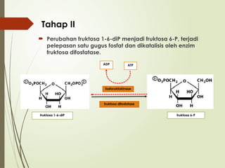 Materi tentang metabolisme biokimia didalam tubuh | PPTX