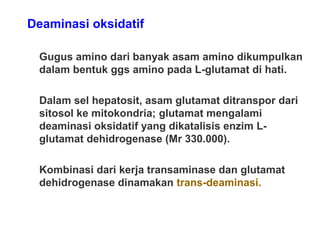 Metabolisme asam amino | PPT