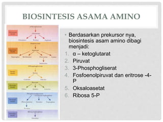 Metabolisme asam amino | PPTX