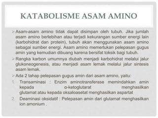 Metabolisme asam amino | PPTX