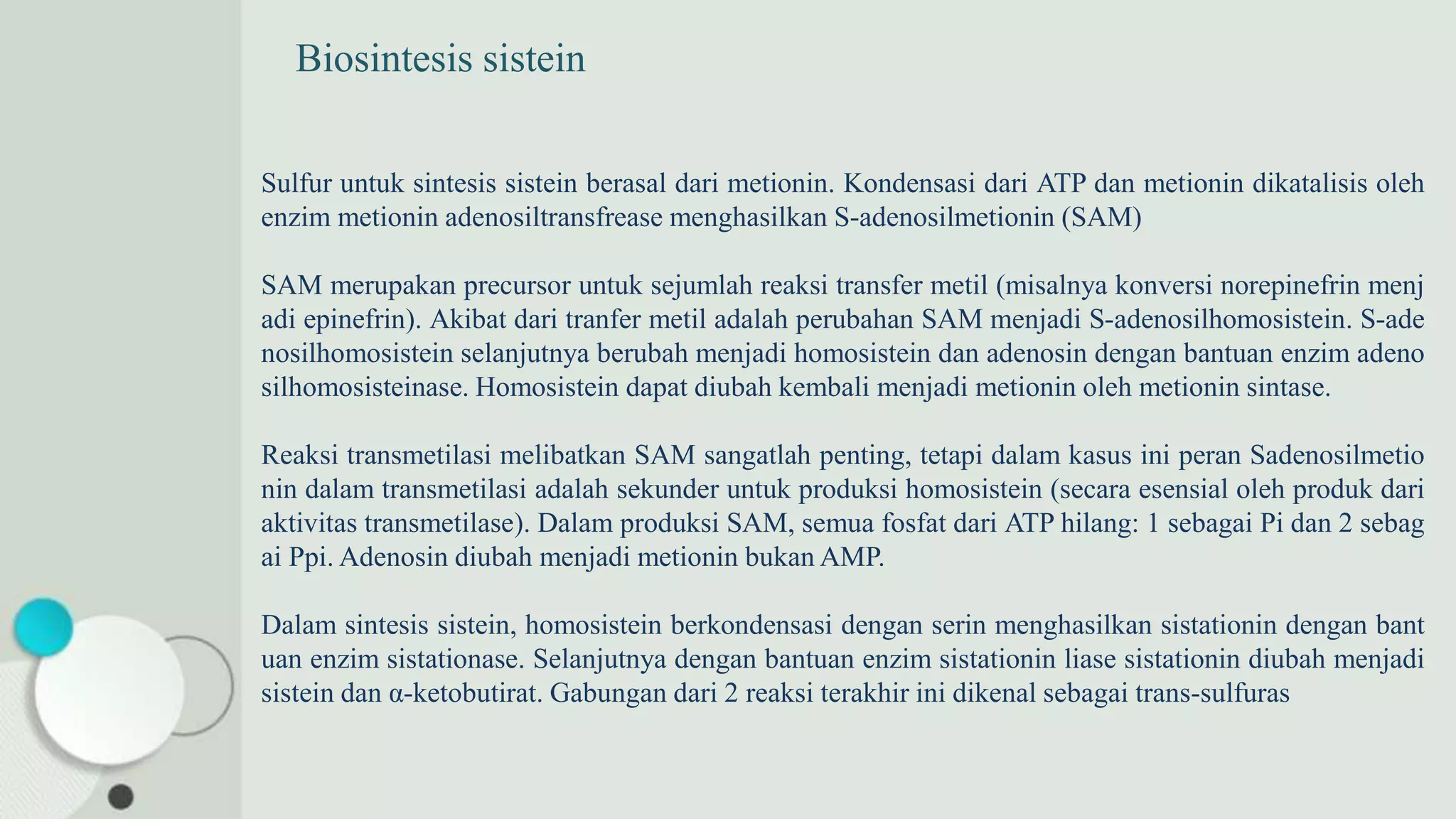 METABOLISME ASAM AMINO.pptx