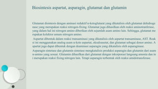 METABOLISME ASAM AMINO.pptx