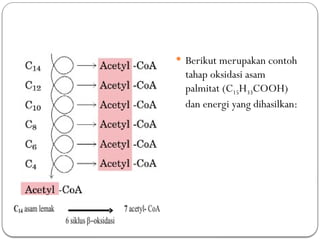 Metabolisme Asam Lemak dan Lipid pada Mahluk Hidup.pptx
