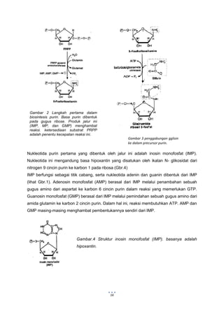 Metabolisme asam nukleat | DOCX