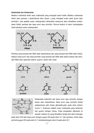 Metabolisme asam nukleat | DOCX