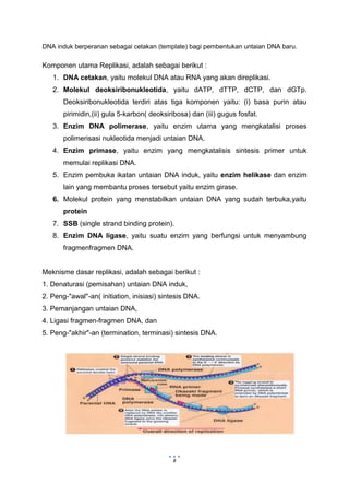 Metabolisme asam nukleat | DOCX