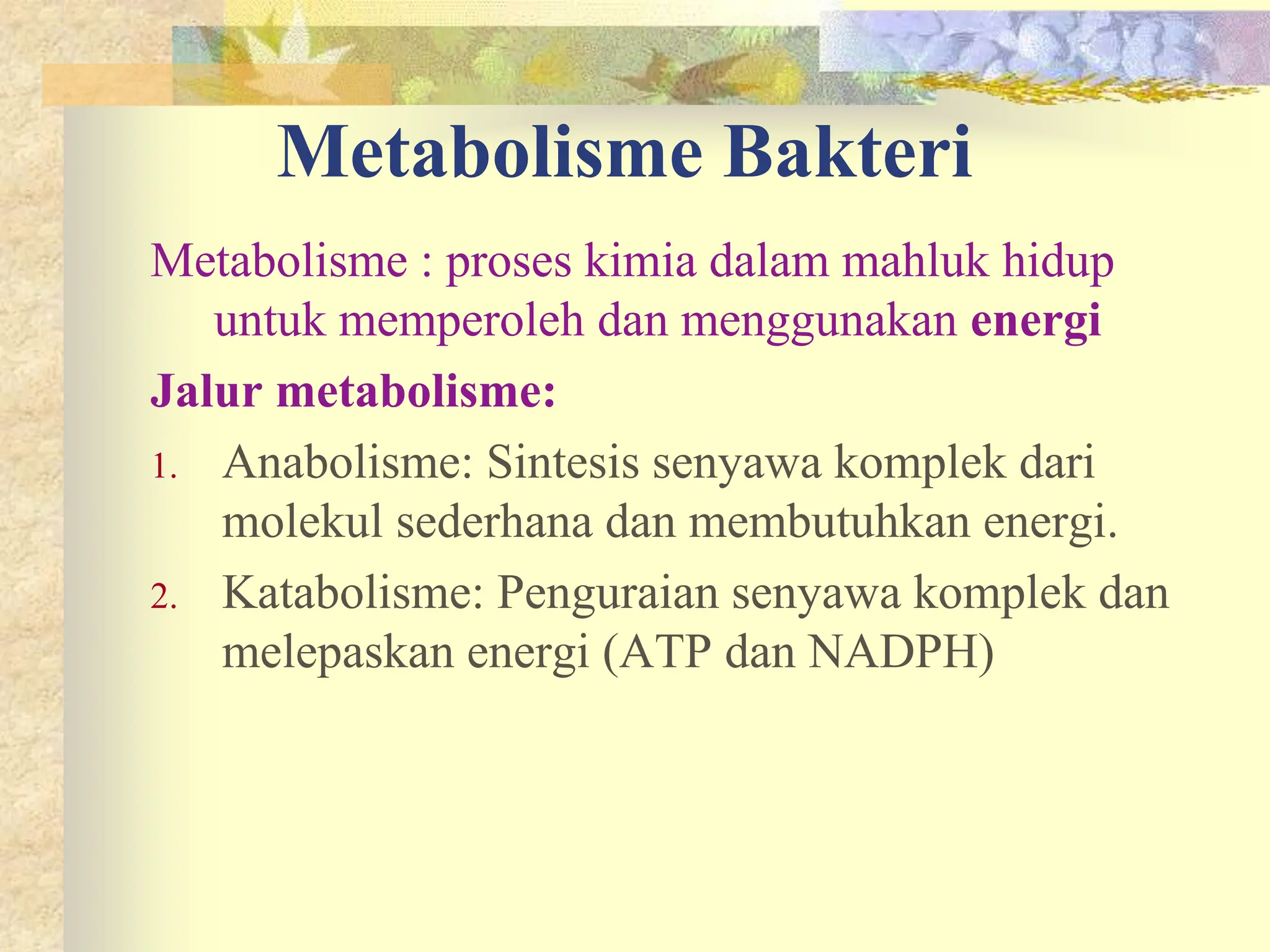 Siklus Metabolisme Yang Terjadi Pada Suatu Bakteri | PPT