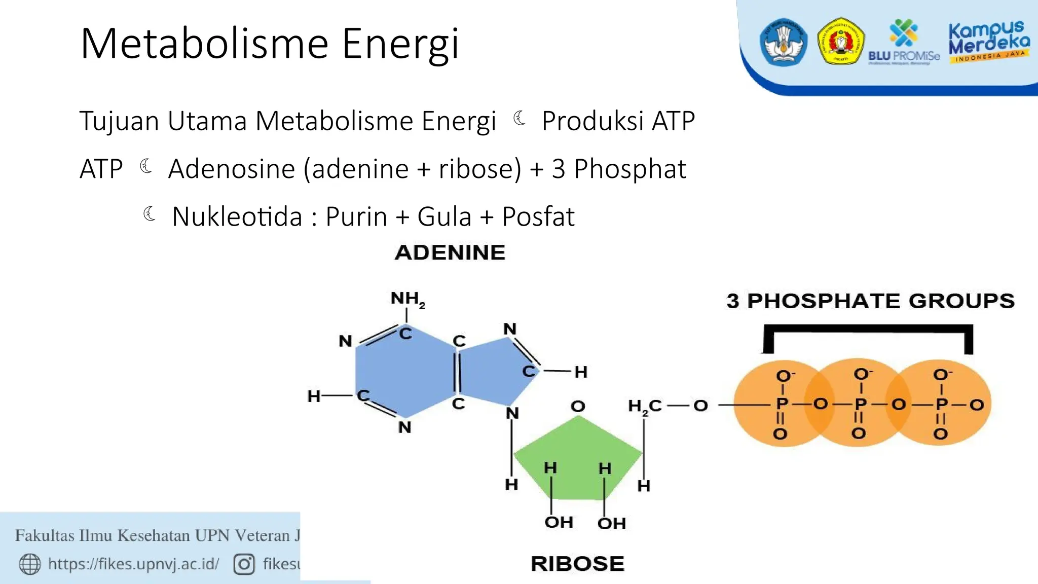 Metabolisme dan konsumsi energi dalam tubuh manusia.pptx