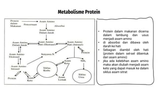 Metabolisme dan Suhu Tubuh.pptx