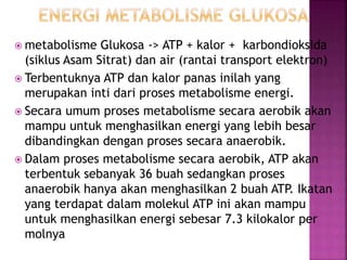 METABOLISME ENERGI.pptx