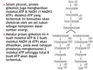 METABOLISME ENERGI.pptx