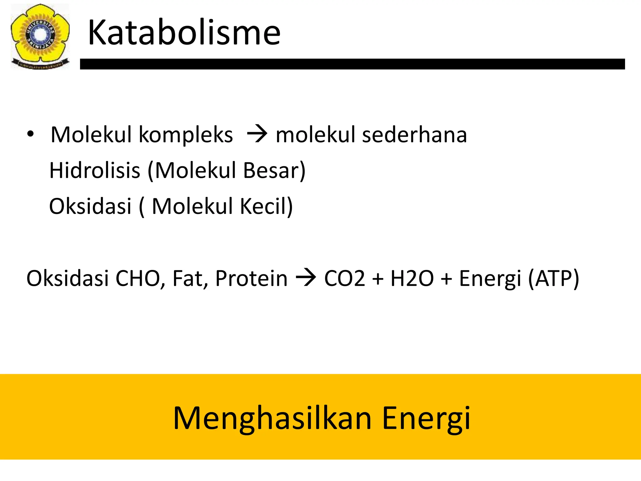 metabolisme energi -S1-.ppt