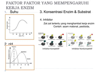 METABOLISME ENZIM.pptx