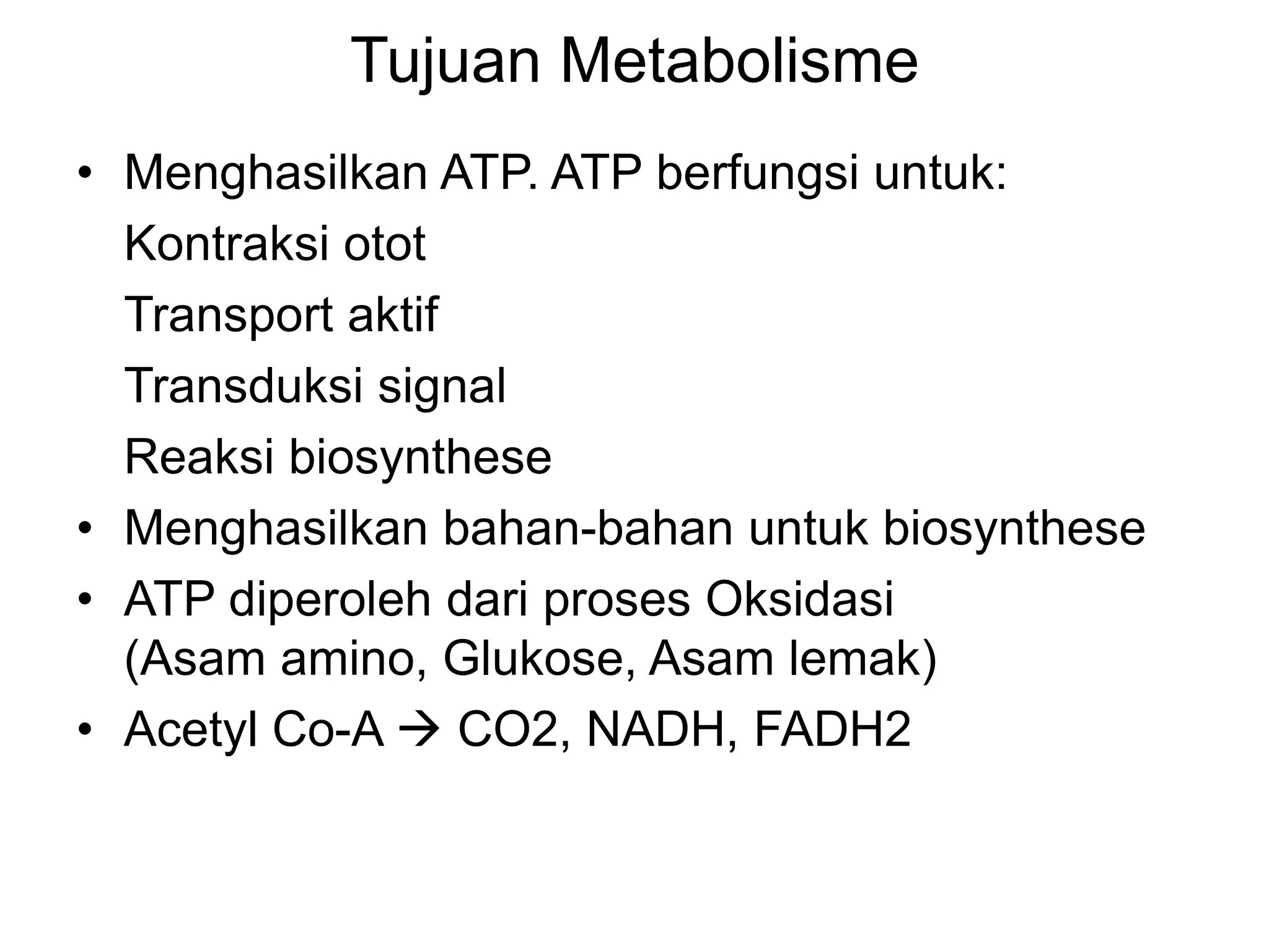 metabolisme enzim.ppt