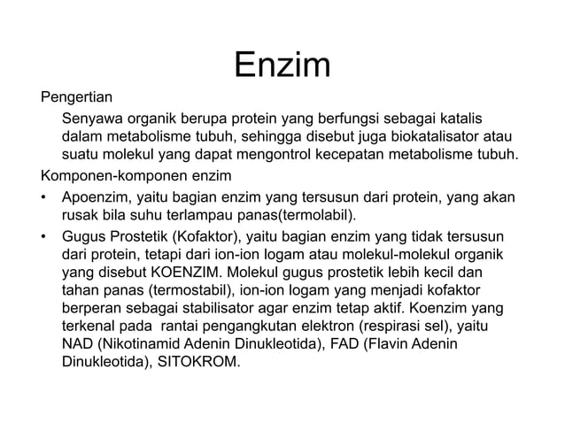 metabolisme enzim.ppt