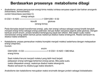 metabolisme enzim.ppt
