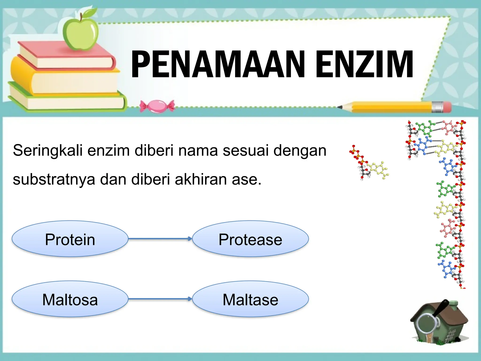 METABOLISME & ENZIM materi kelas xii.pptx