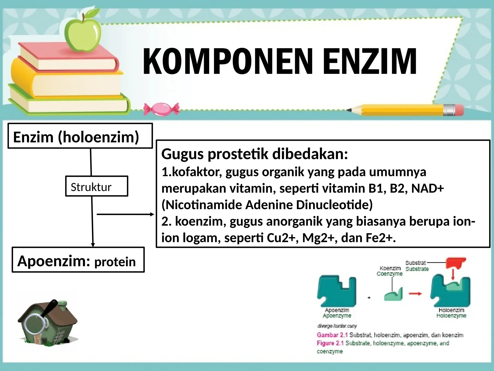 METABOLISME & ENZIM materi kelas xii.pptx