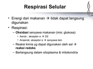 Metabolisme fotosintesis respirasi | PPT