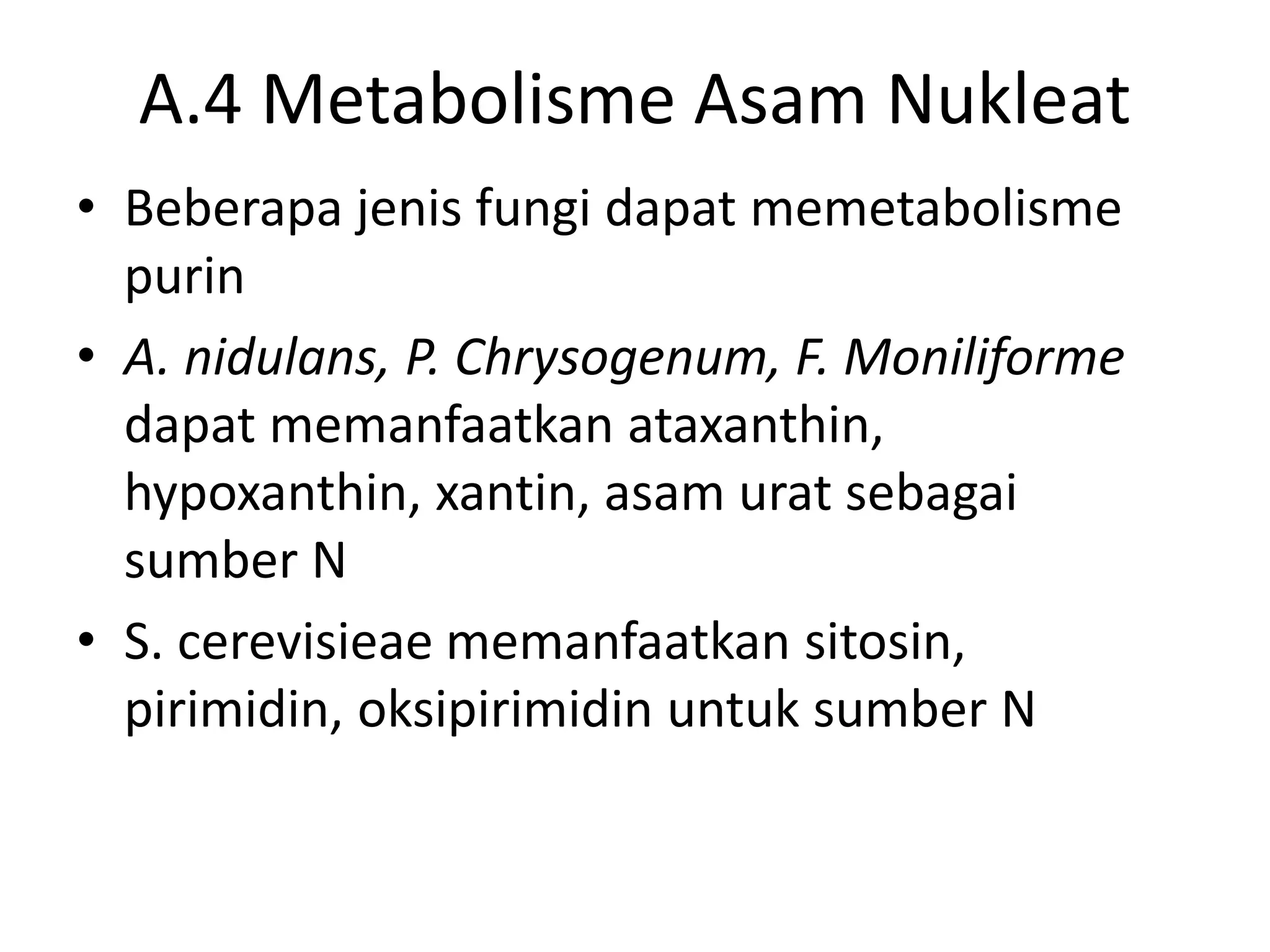 Metabolisme Fungi (1).pptx
