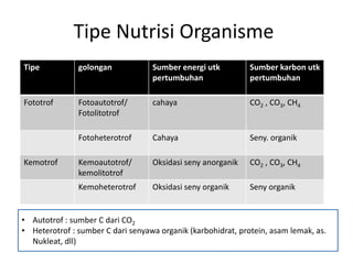 Metabolisme Fungi (1).pptx