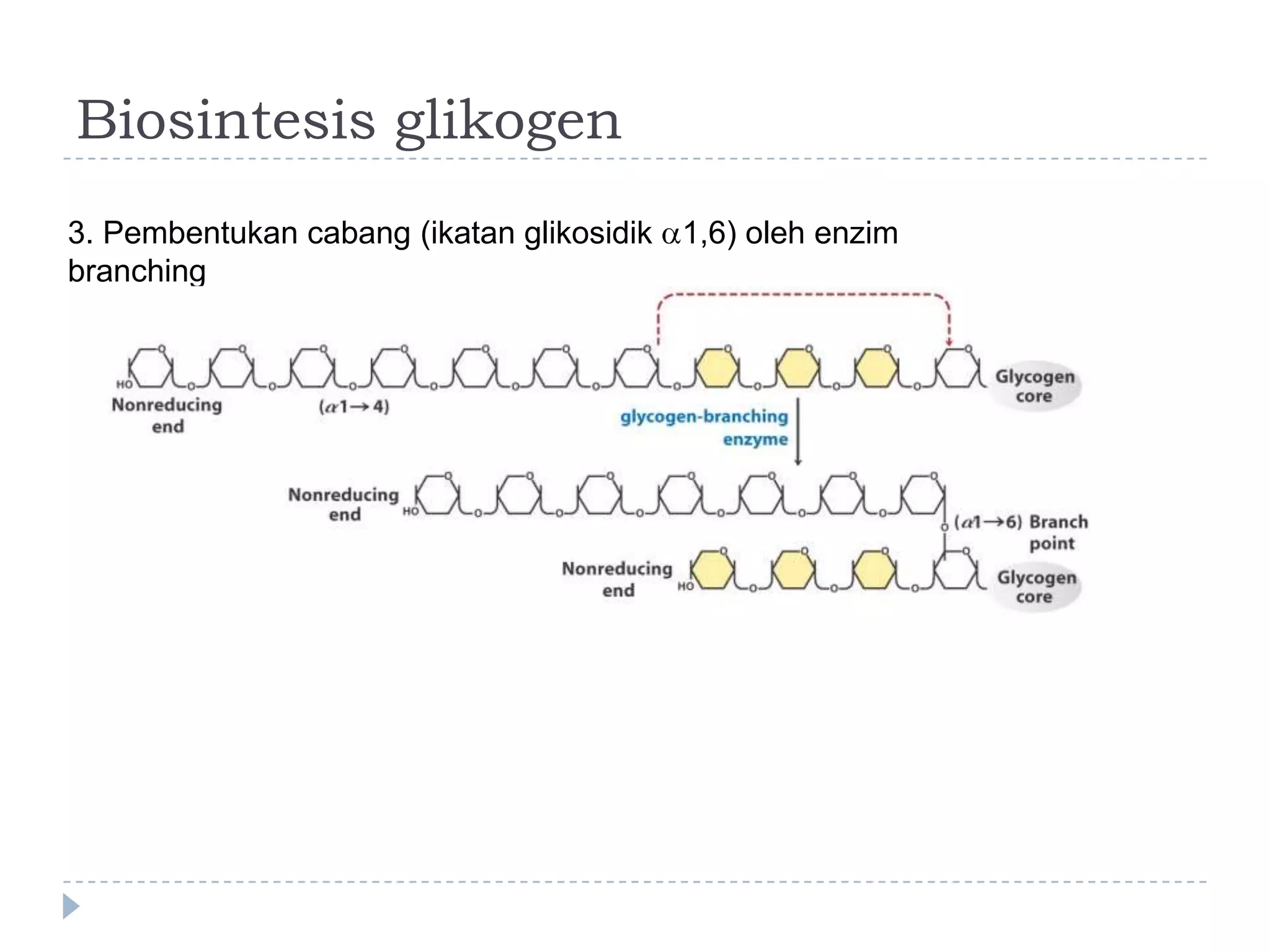 Metabolisme glikogen p9 | PPTX