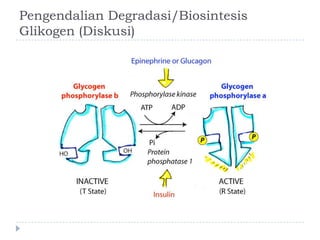 Metabolisme glikogen p9 | PPTX