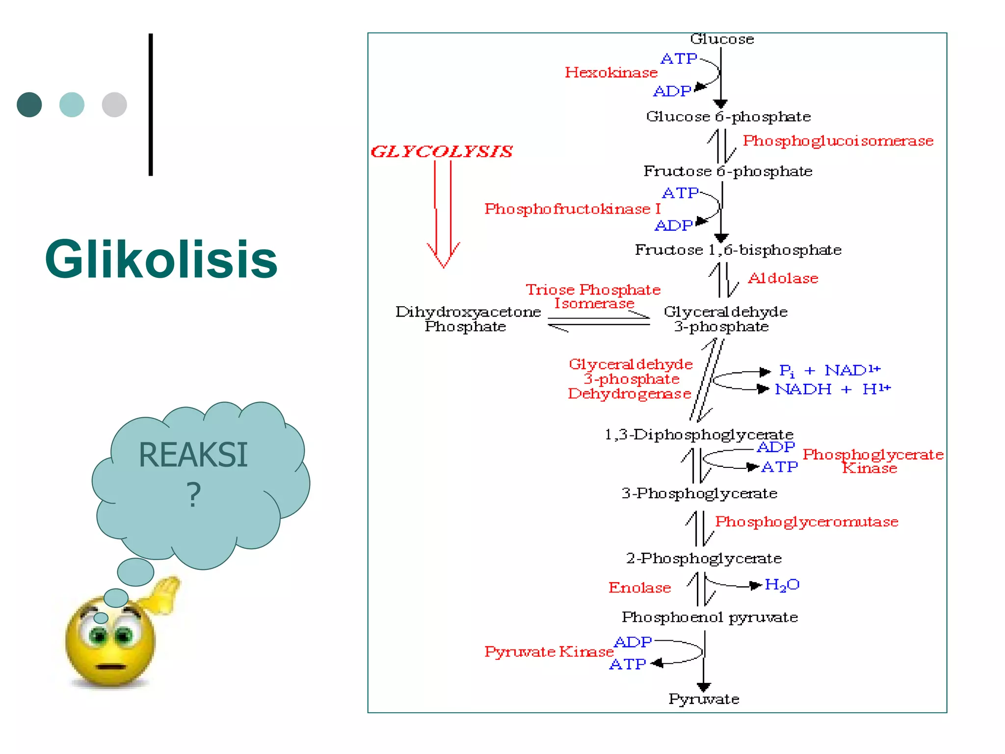 Metabolisme karbohidrat | PPT