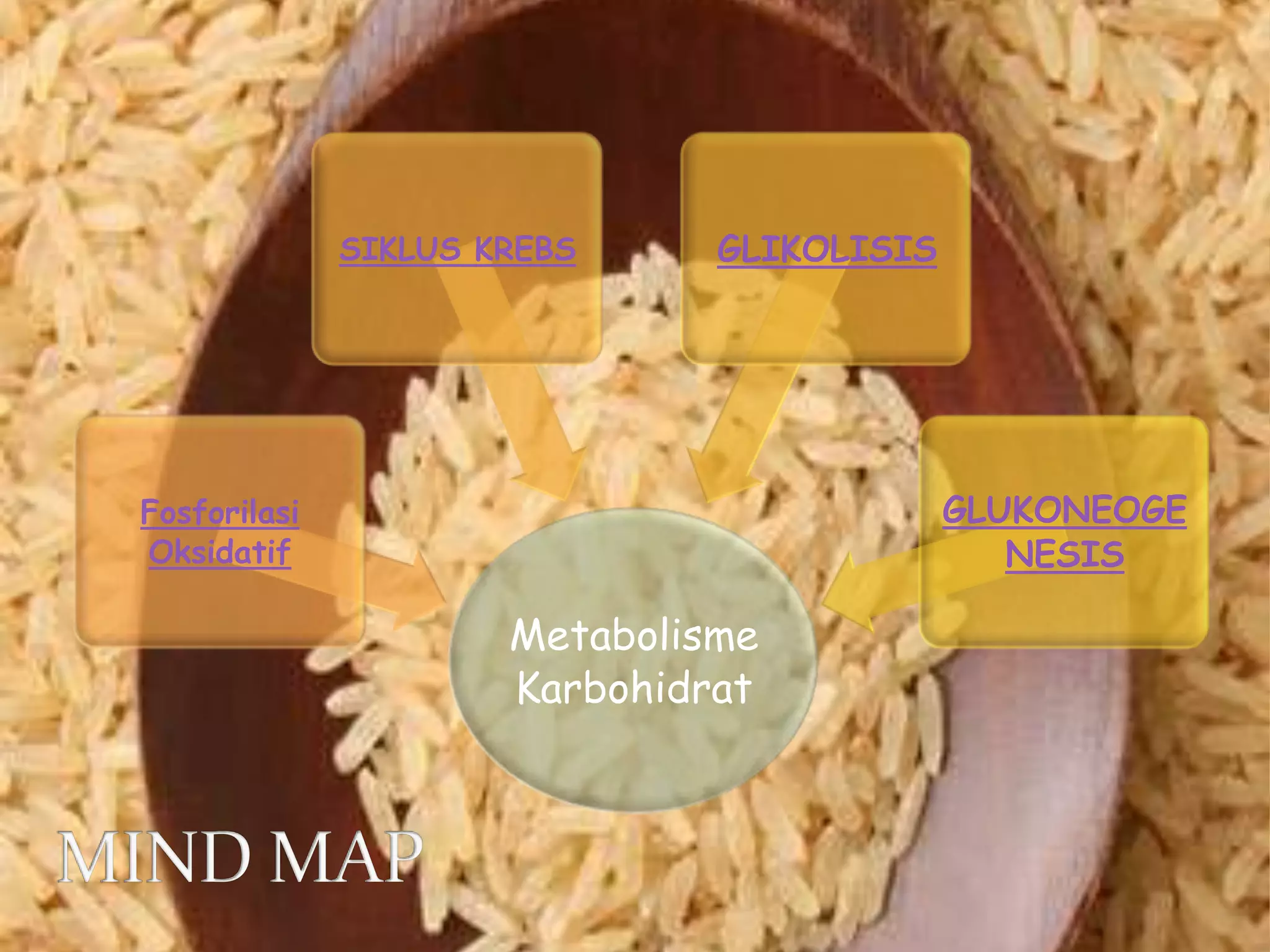Metabolisme Karbohidrat | PPTX
