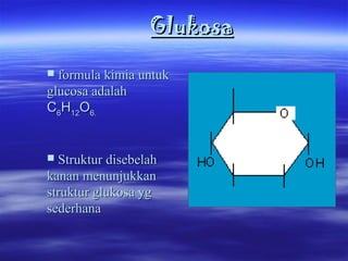 Metabolisme karbohidrat | PPT