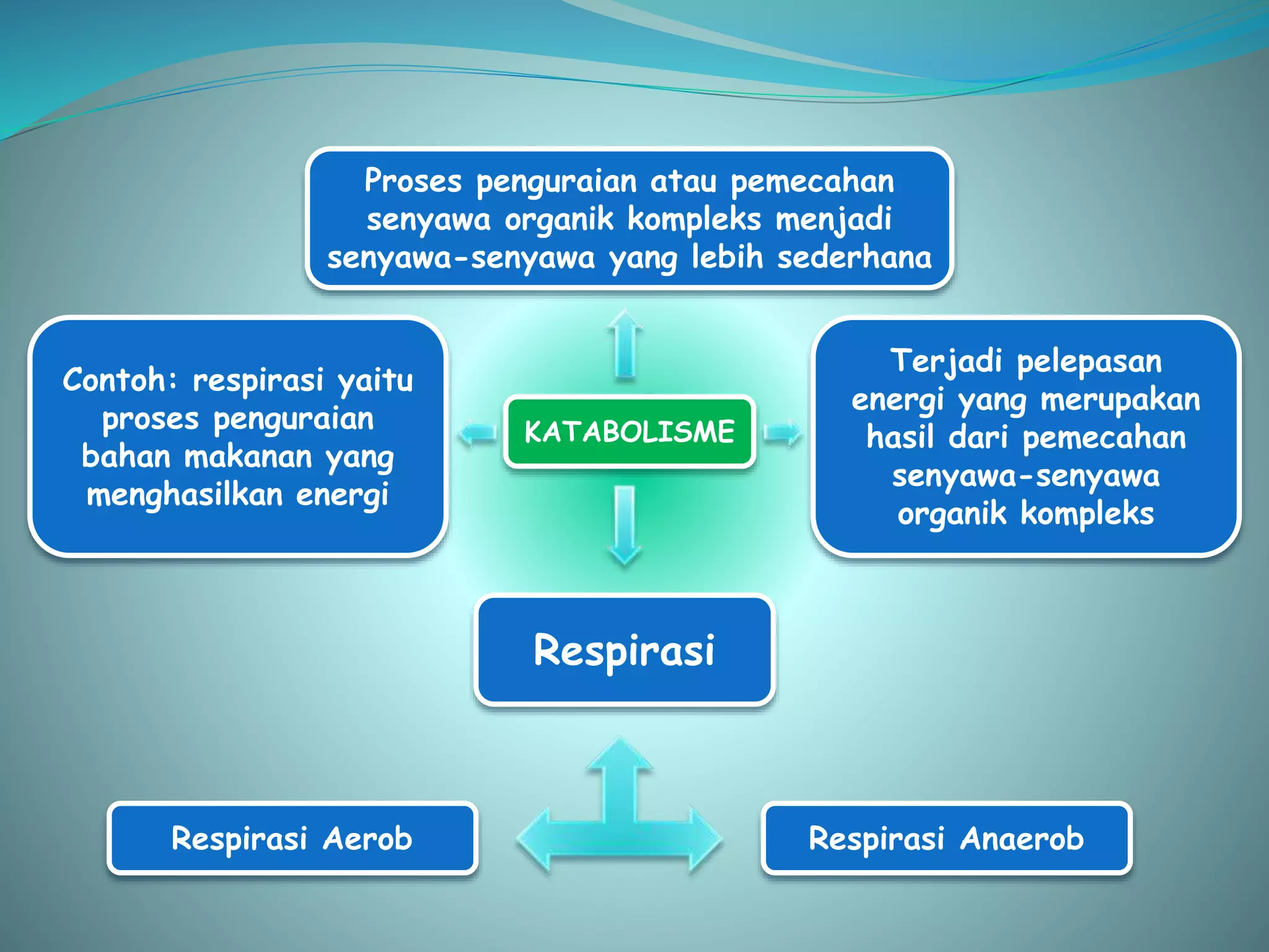 Metabolisme karbohidrat (Katabolisme) | PPTX