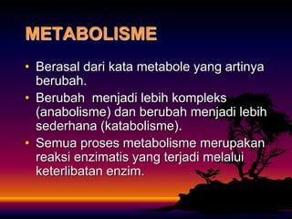 Metabolism of Carbohydrate | PPTX