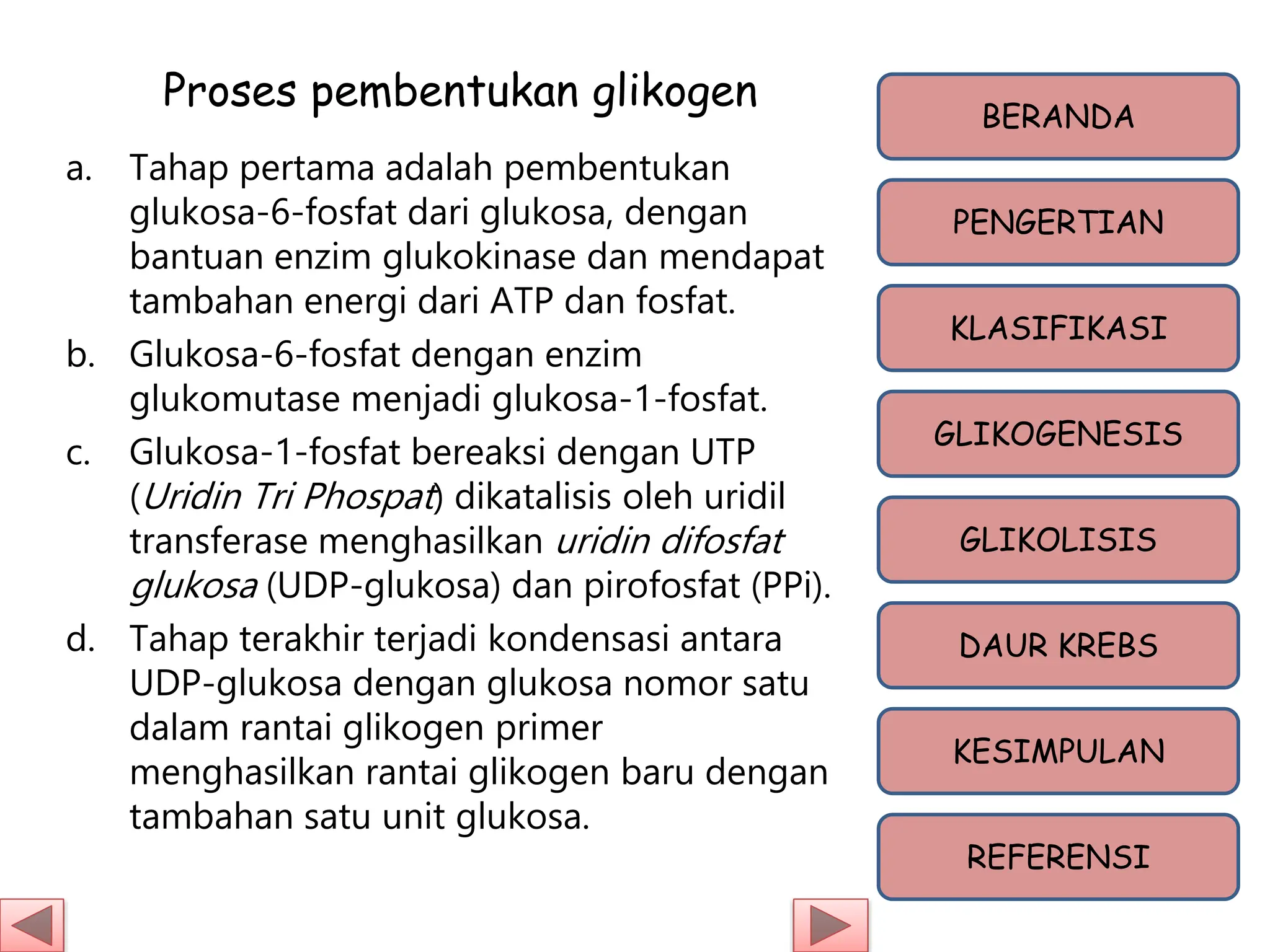 METABOLISME KARBOHIDRAT DISALAM TUBUH.ppt