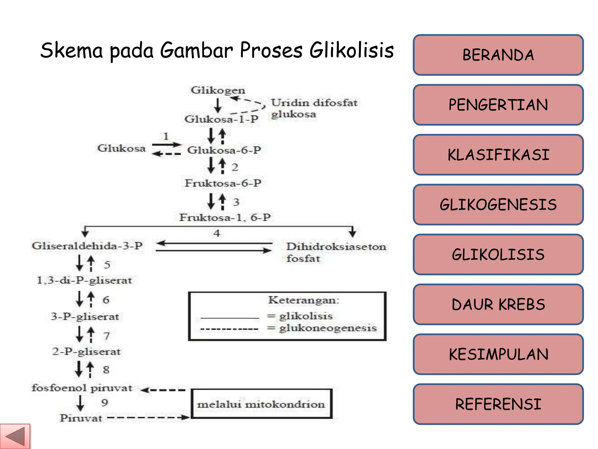 METABOLISME KARBOHIDRAT DISALAM TUBUH.ppt