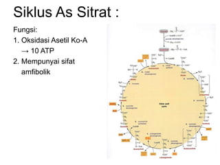 metabolisme_karbohidrat suwandito, dr, MS | PPT